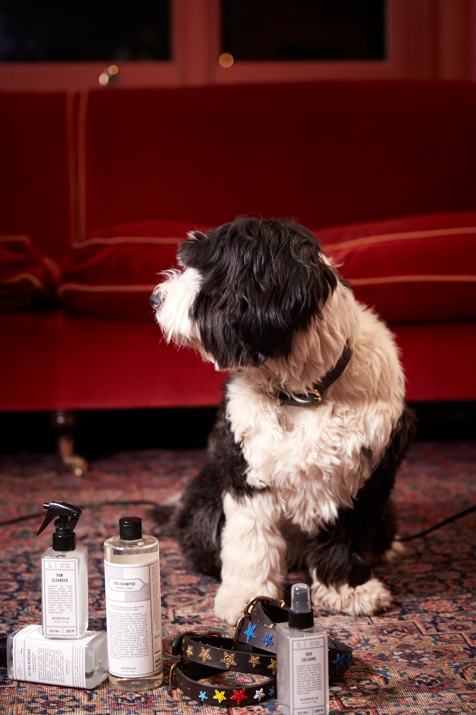 For Dogs – The Jacksons